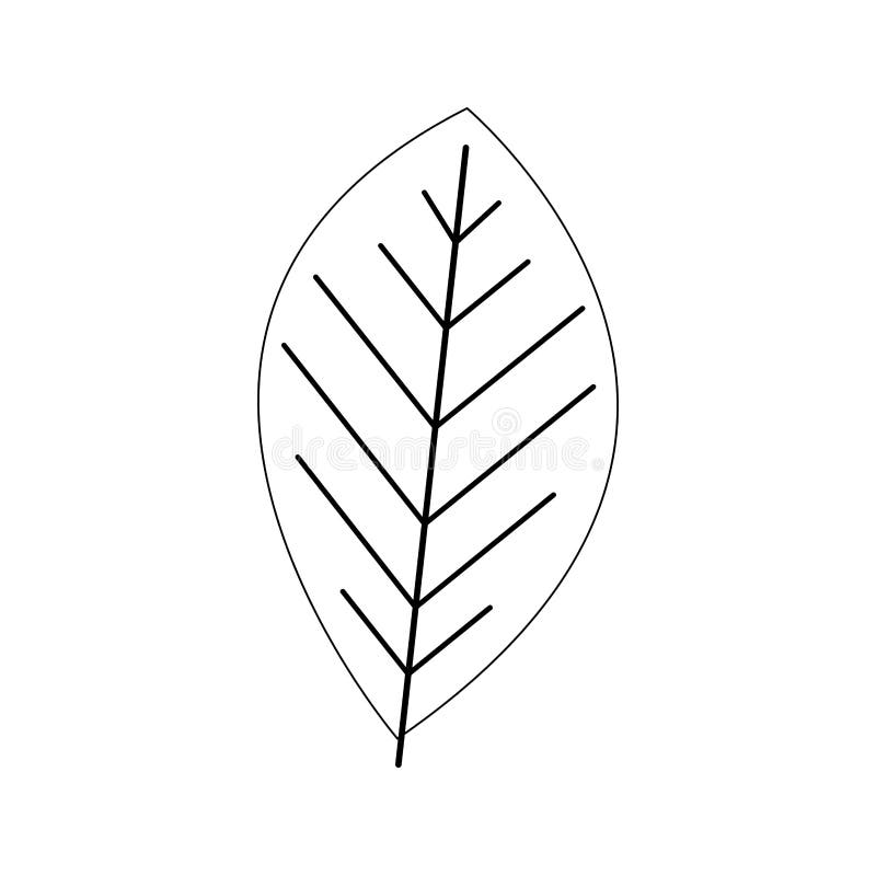 Simple leaf icon image stock vector. Illustration of foliage - 79430585