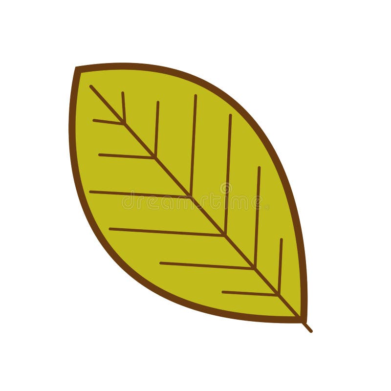 Simple leaf icon image stock vector. Illustration of branch - 80387580