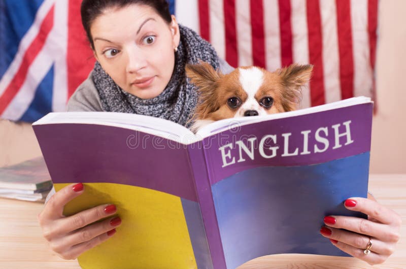 Simple Learning Language Concept. Stock Image - Image of english ...