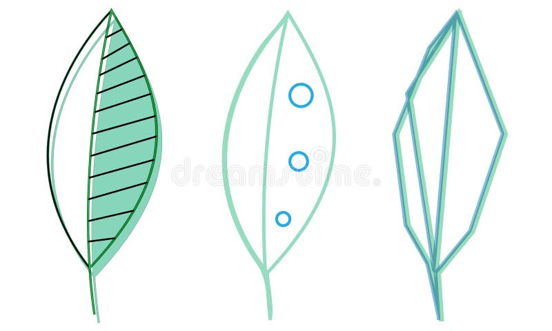 Simple leaves icon stock illustration. Illustration of green - 85367965