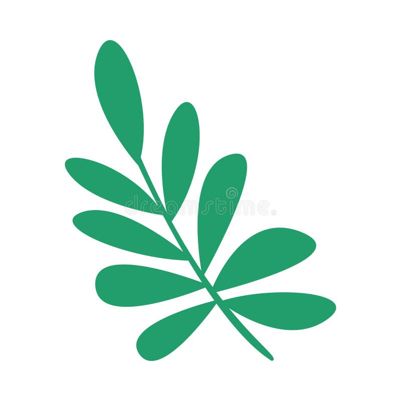 Simple Leaves, Leaf Graphic Green Color Stock Vector - Illustration of ...