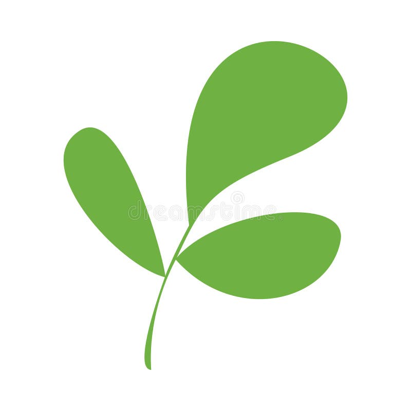 Simple Green Pastel Color Background, Modern Green Wallpaper, Art Line ...