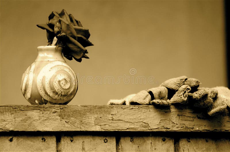 Simple life stock photo. Image of environment, grow, fresh - 3129810