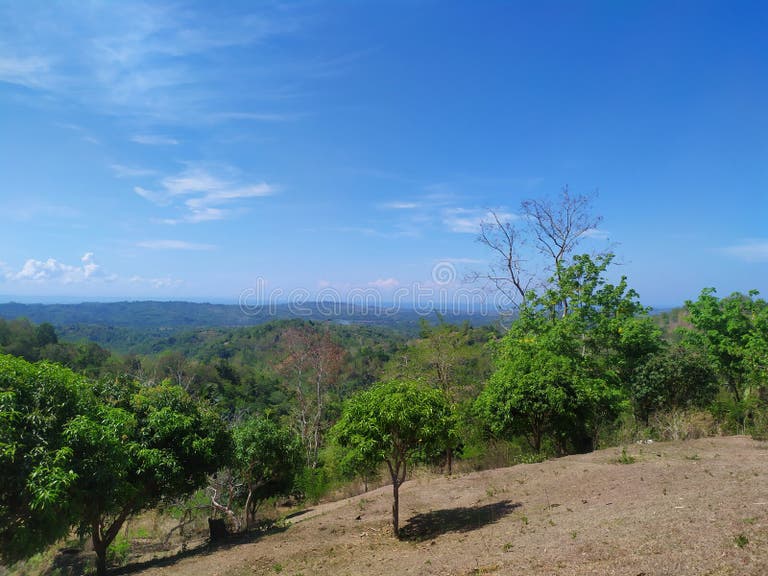 Simple life in the farm stock image. Image of landscape - 225149059