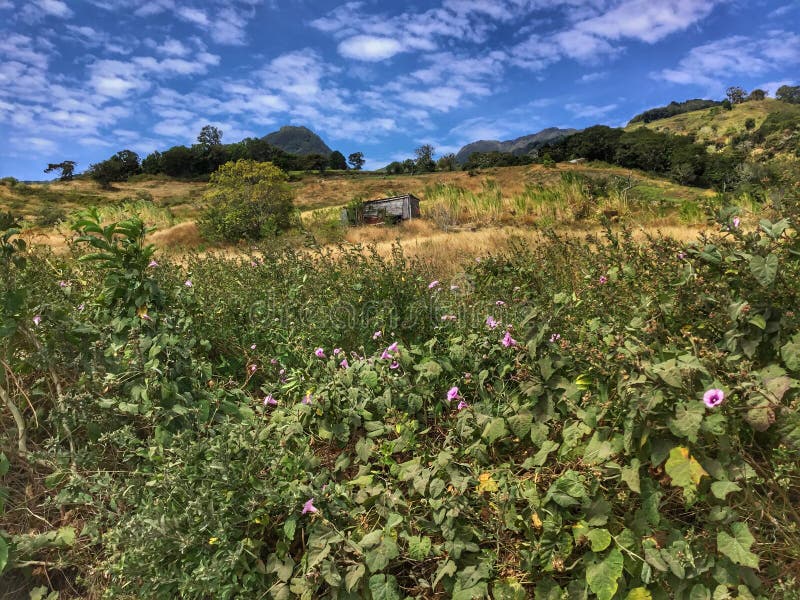 Simple Life editorial stock image. Image of neighbors - 66460124