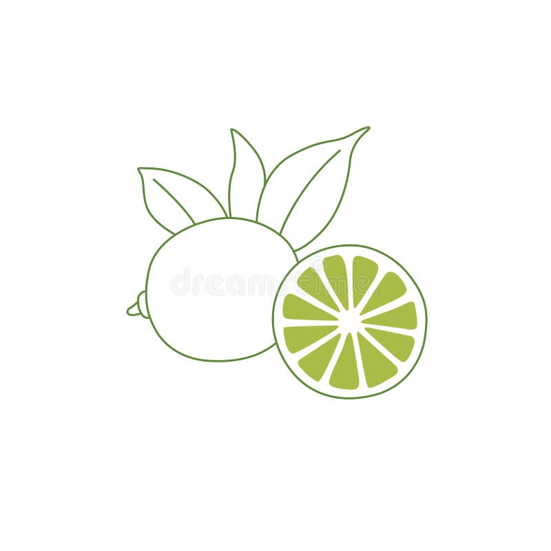 Lime Line Art Hand-drawn Multicolor Modern Vector Illustration ...