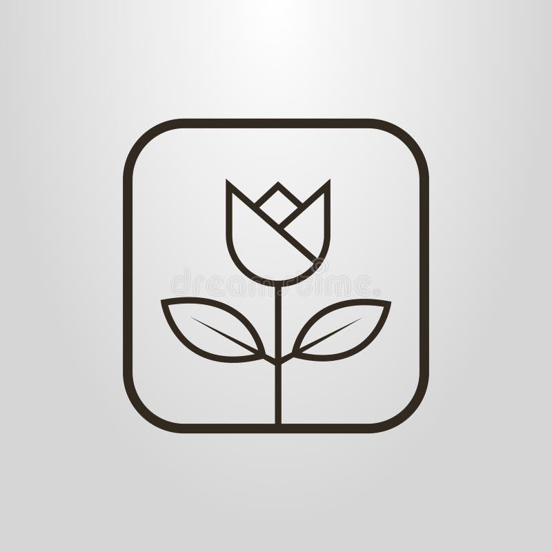 Simple Line Art Vector Flower Pictogram In A Frame Stock Vector ...