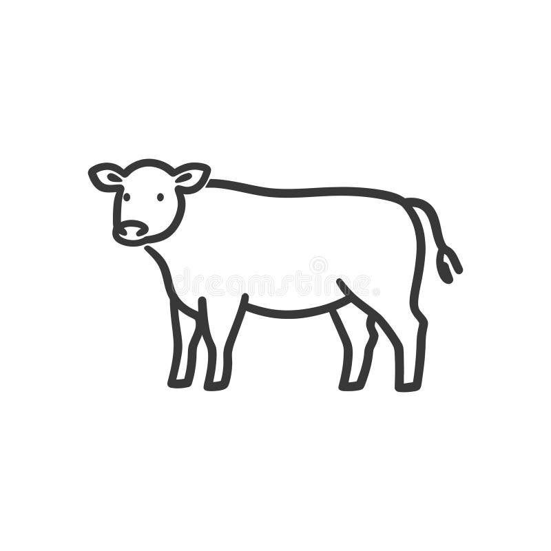Simple Cow Line Art stock vector. Illustration of standing - 369930663
