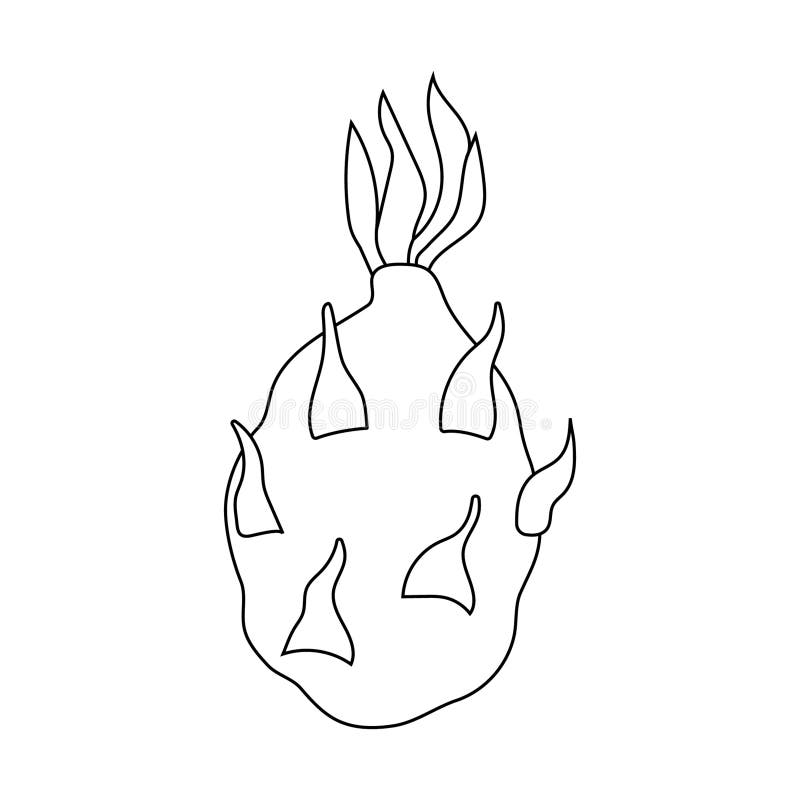 Simple Line Drawing of a Dragon Fruit with Distinct Spikes and Unique ...