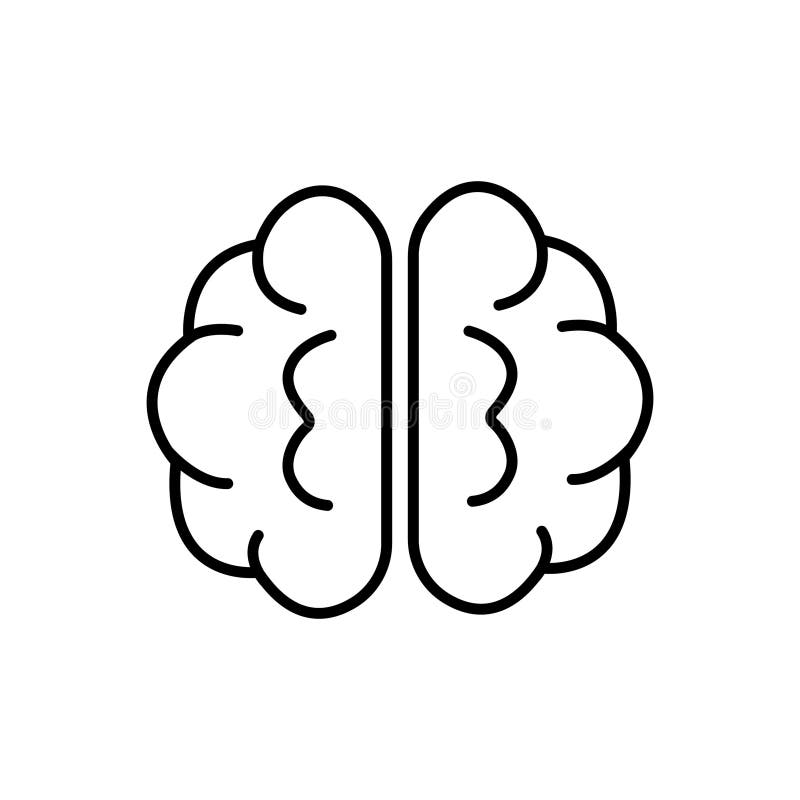 A Simple Line Drawing of a Human Brain. Stock Illustration ...