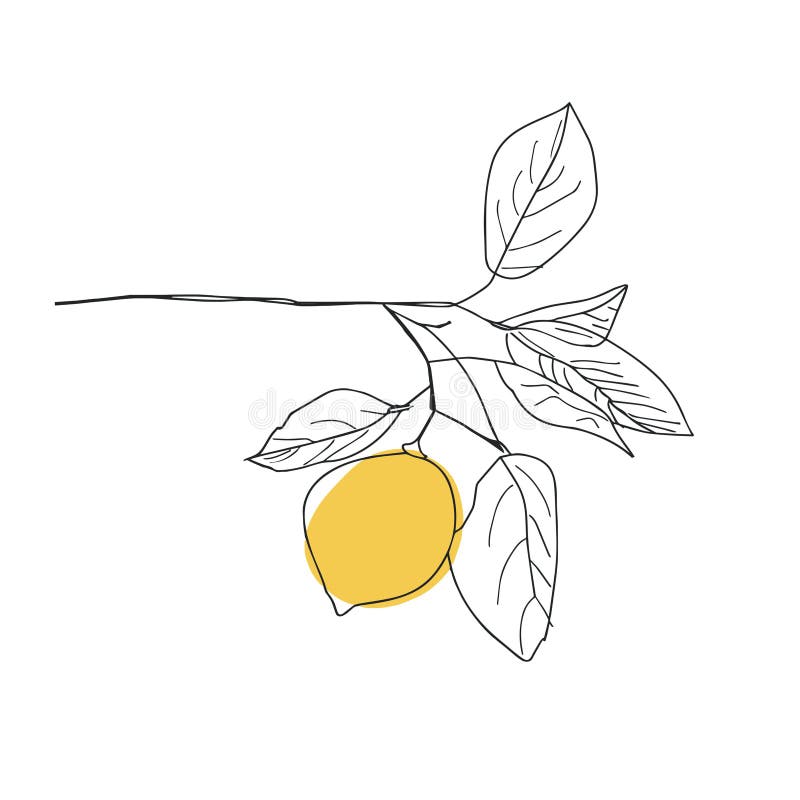 Lemon Tree Drawing Stock Illustrations – 5,136 Lemon Tree Drawing Stock ...