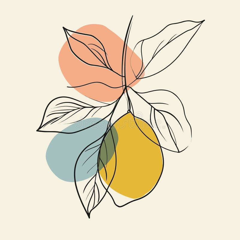 Simple Line Drawing Illustration of a Lemon on a Tree Branch Stock ...