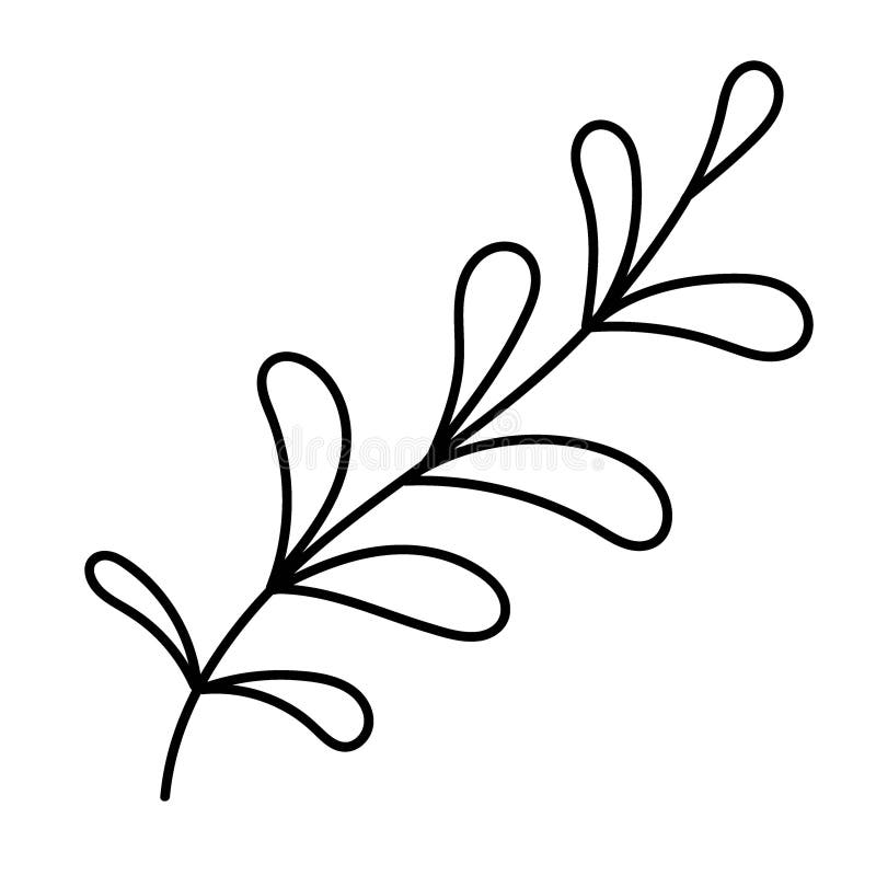Simple Line Drawing of a Leaf Branch in Minimalist Style Stock ...