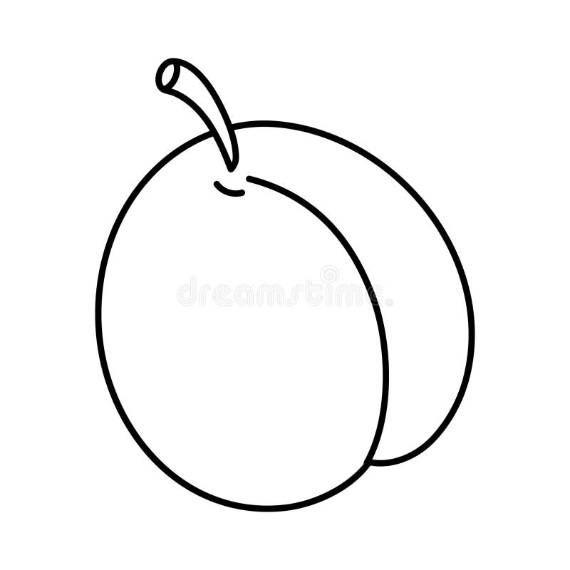 A Simple Line Drawing of a Peach Showing Its Smooth Shape and Curved ...