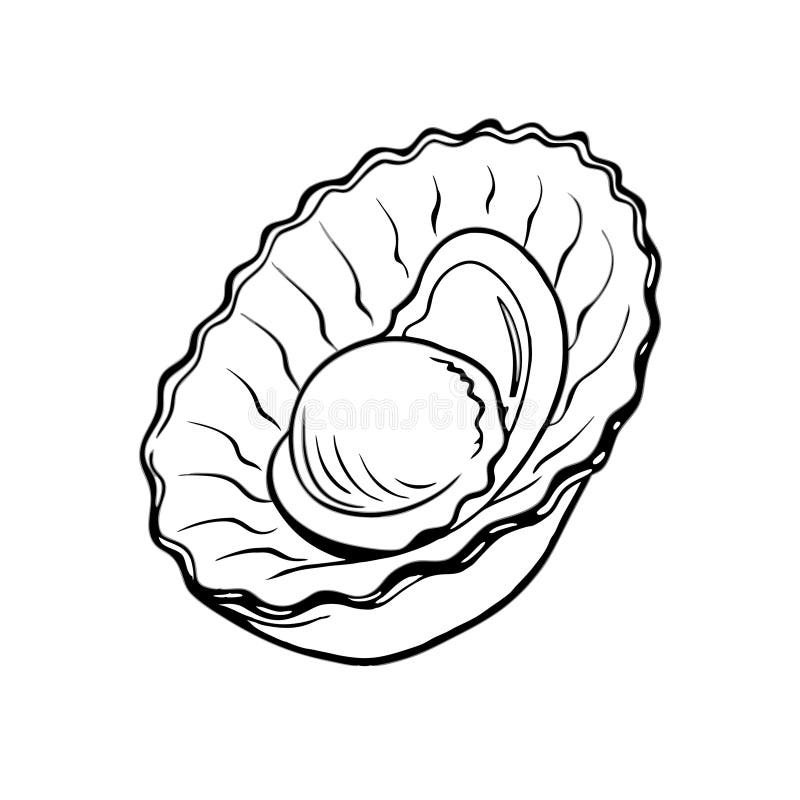 Single Line Drawing Sea Shell Stock Illustrations – 473 Single Line ...