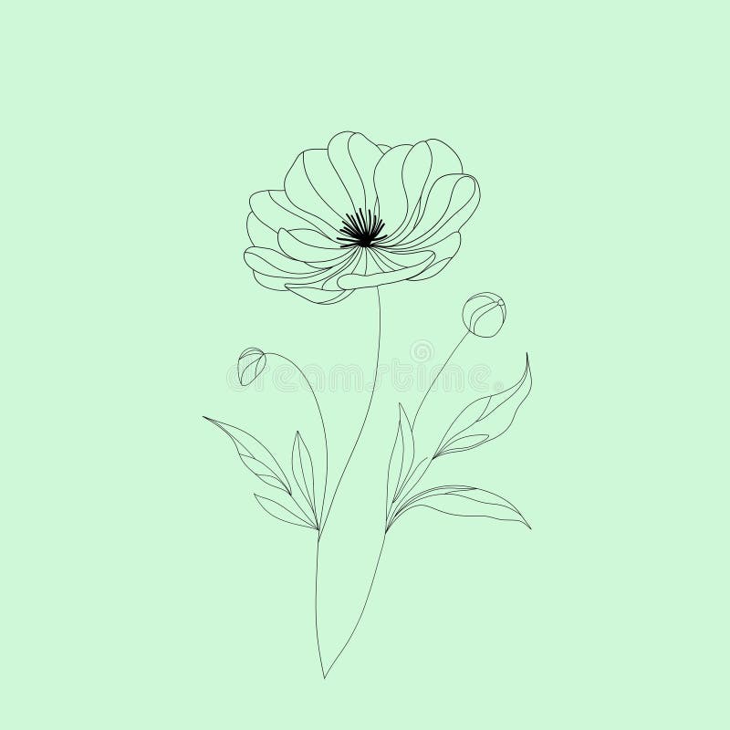 Line Drawing Poppy Stock Illustrations – 7,130 Line Drawing Poppy Stock ...