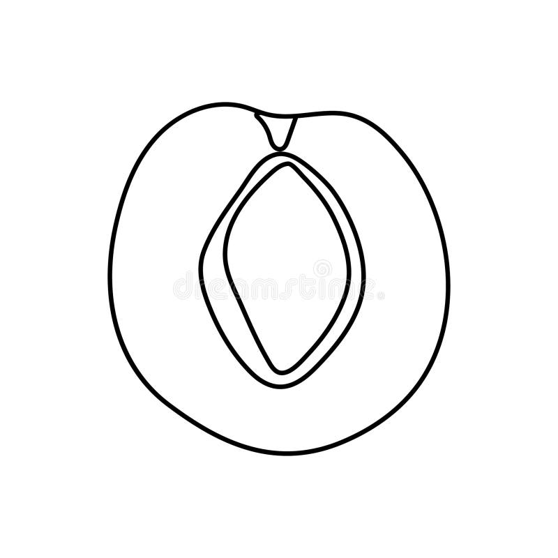 Simple Line Drawing of a Sliced Fruit Showcasing Its Inner Seed and ...