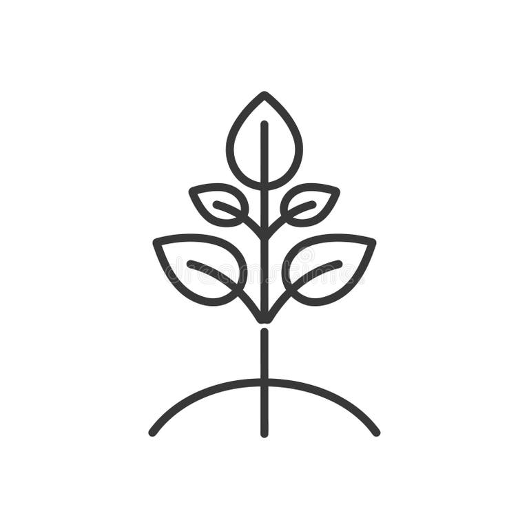 Simple Plant Sprout, Growing Upward, Minimalist Line Art Illustration ...