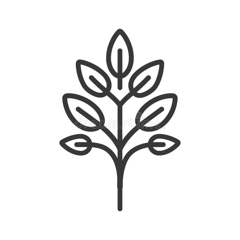 Elegant Line Art Branch with Seven Leaves, Nature Illustration Stock ...