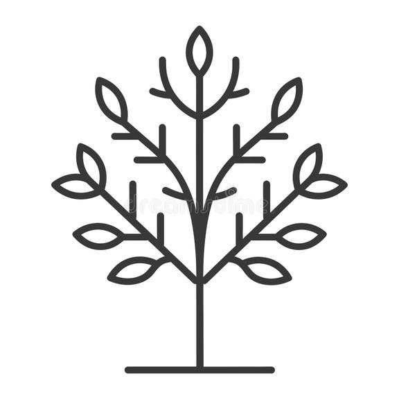 Simple Line Art Tree Illustration Growing Plant with Leaves, Minimalist ...