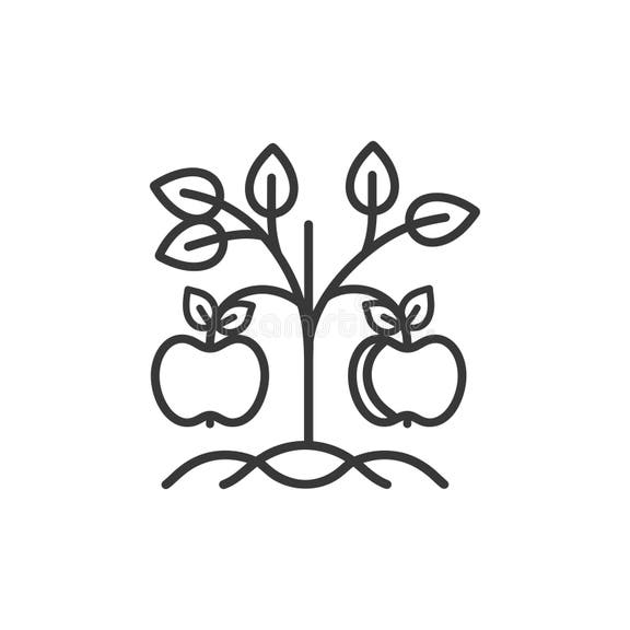 Apple Tree with Two Apples: Simple Line Art Illustration Stock Vector ...