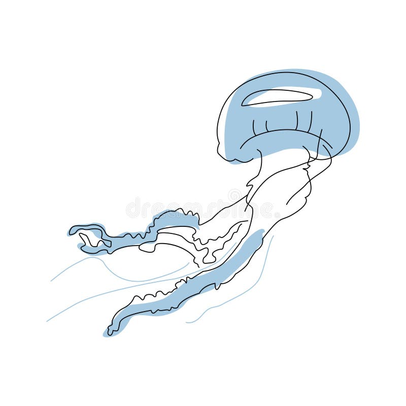 Simple Line Illustration with Sea Jellyfish Stock Vector - Illustration ...