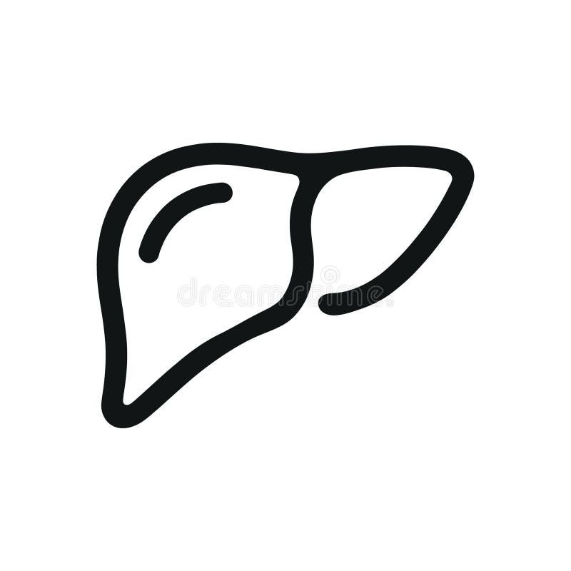 Simple line icon liver. stock vector. Illustration of perfect - 298184895