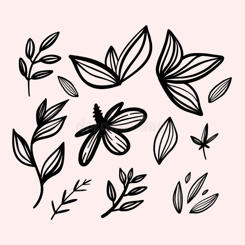 Simple Linear Flower Decoration, Tropical Drawing, Ornament Border ...