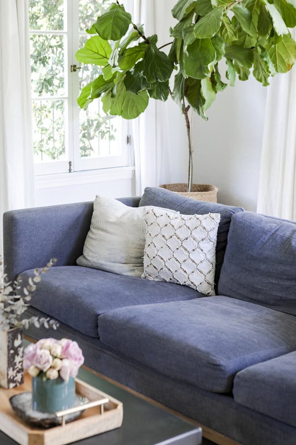 Simple Living Room Interior Stock Photo - Image of living, comfortable ...