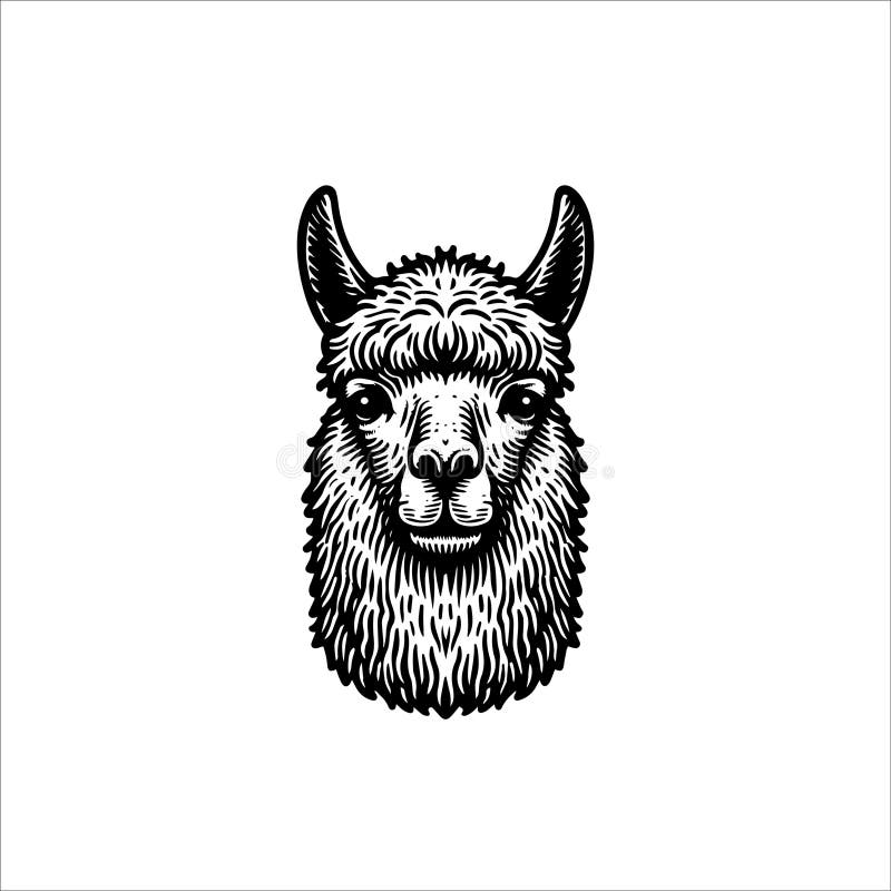 Llama Face Head Front View Vintage Retro Logo Illustration. Stock ...