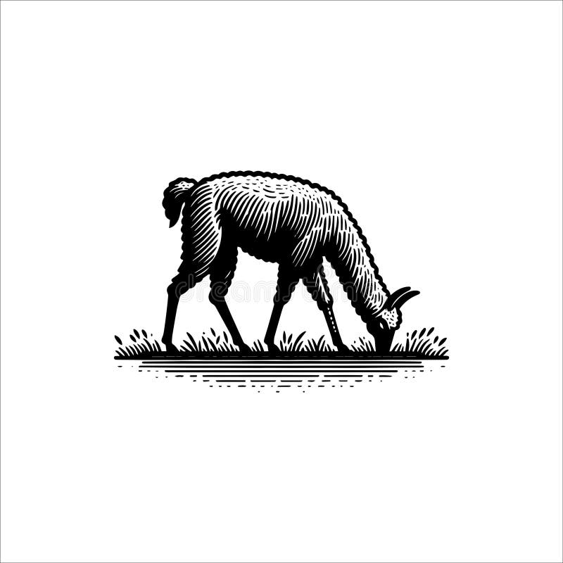 Llama Grazing Vintage Retro Logo Illustration Vector Icon Stock ...