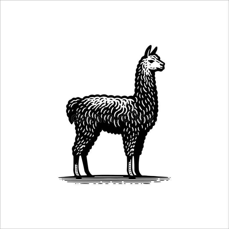 Llama Standing Side View Vintage Retro Logo Style Icon. Stock Vector ...