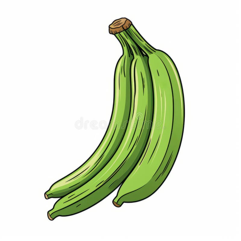 Simple Plantain Stock Illustrations – 238 Simple Plantain Stock ...
