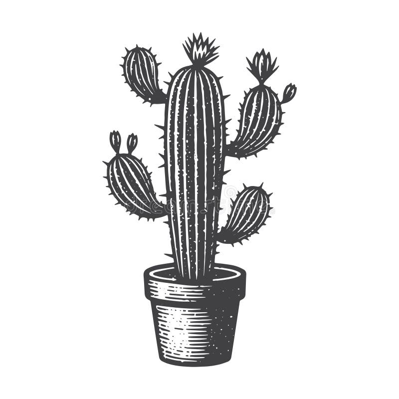 Simple Mature Cactus Vector Icon Vintage Retro Logo Illustration. Stock ...