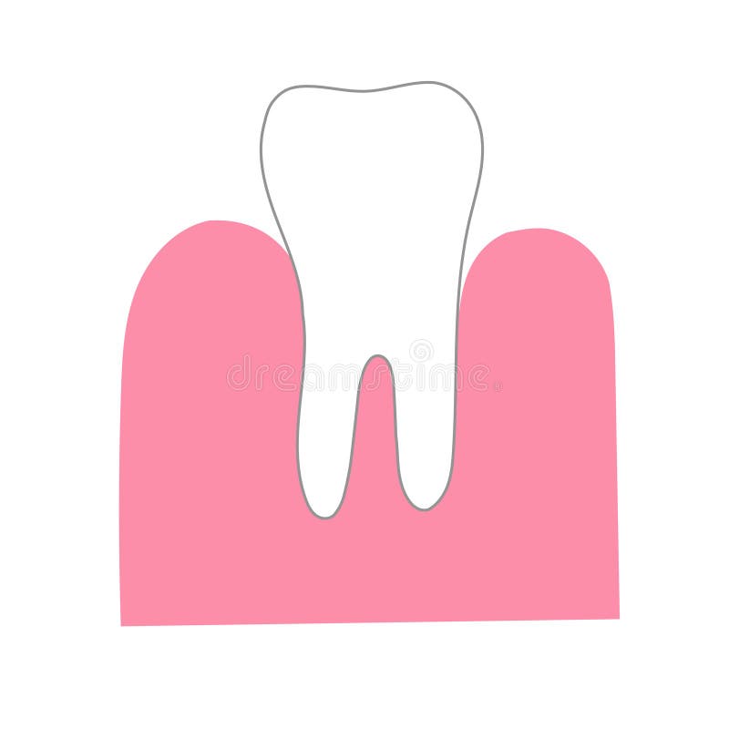 Simple Minimal Illustration of Tooth and Gum Stock Illustration ...