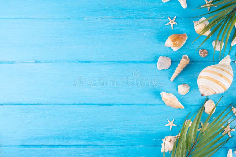 Simple Minimal Pattern Background with Seashells and Starfish Stock ...