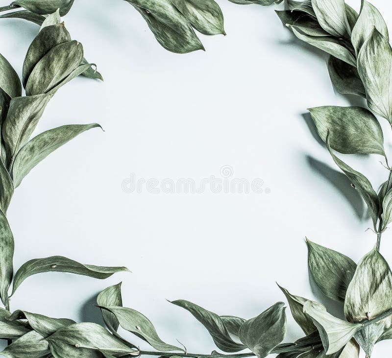 Simple Minimalistic Frame of Green Leaves on Grey Stock Photo - Image ...