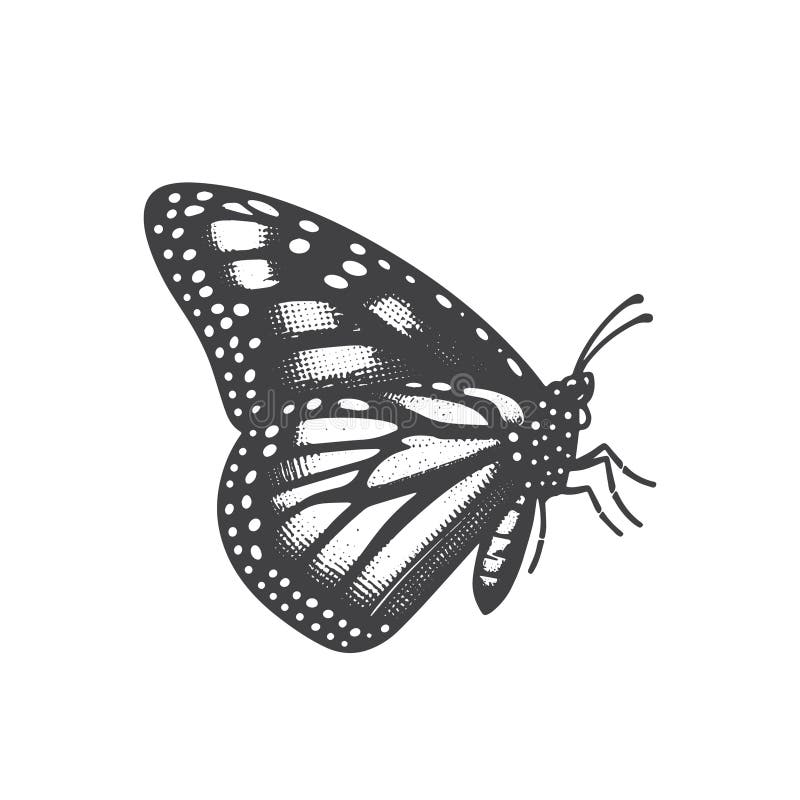 Simple Monarch Butterfly Side View Icon Design Vintage Retro Logo ...