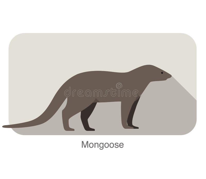 Simple Mongoose Standing and Watching, Vector Illustration Stock Vector ...