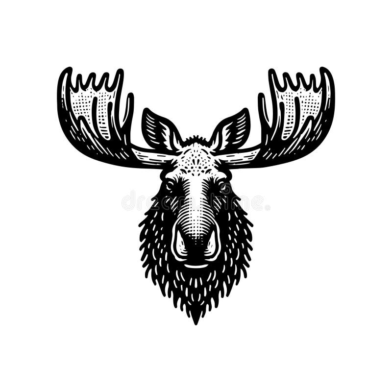 Simple Moose Front View Vintage Logo Rustic Illustration Icon. Stock ...
