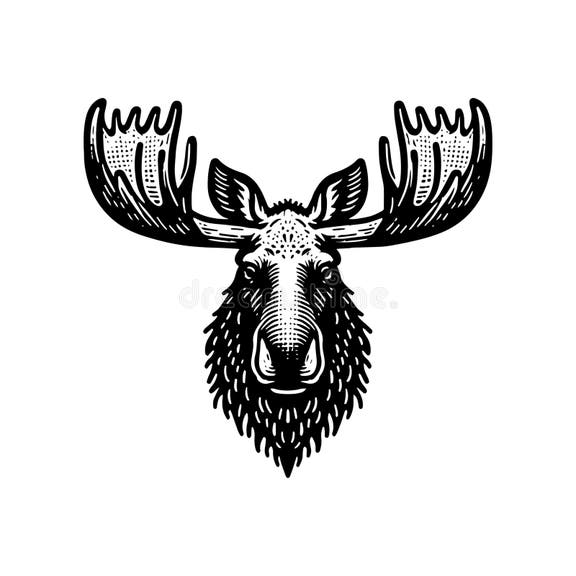 Simple Moose Front View Vintage Logo Rustic Illustration Icon. Stock ...