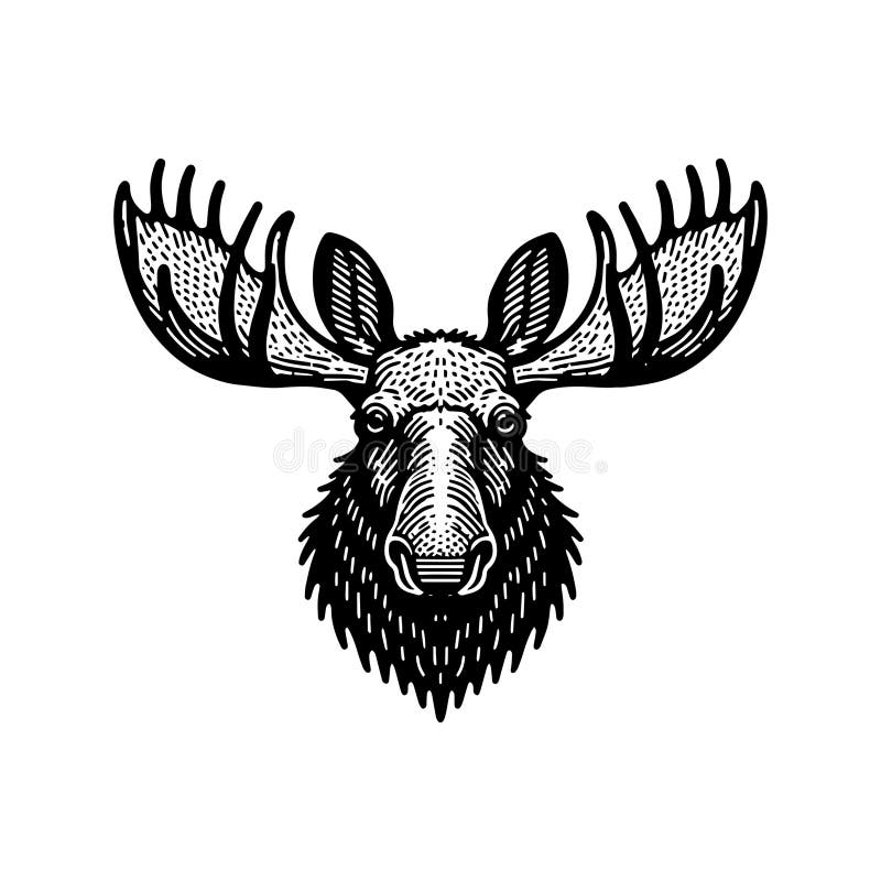 Moose Front View Simple Vintage Logo Rustic Vector Illustration. Stock ...