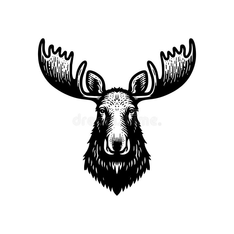 Simple Moose Front View Vintage Logo Rustic Illustration Icon. Stock ...