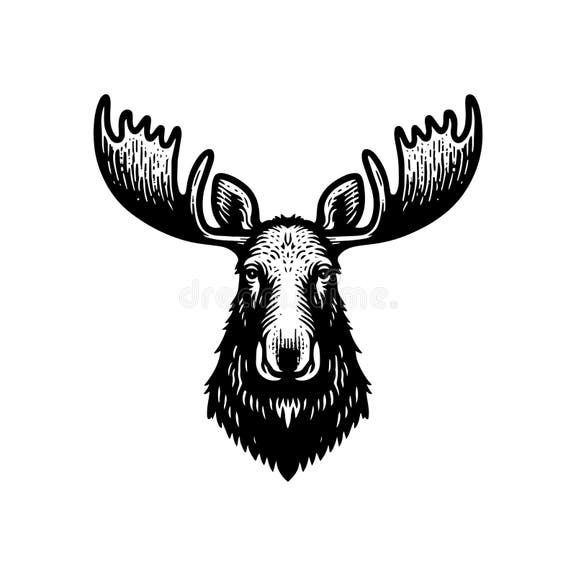Simple Moose Front View Vintage Logo Rustic Illustration Icon. Stock ...