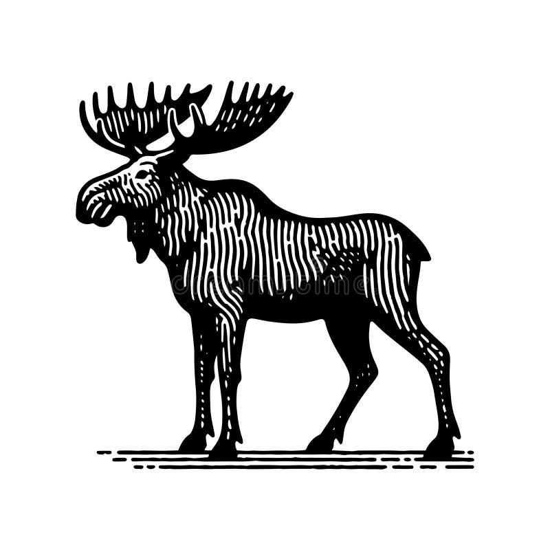 Simple Moose Standing Side View Vintage Logo Rustic Illustration Icon ...