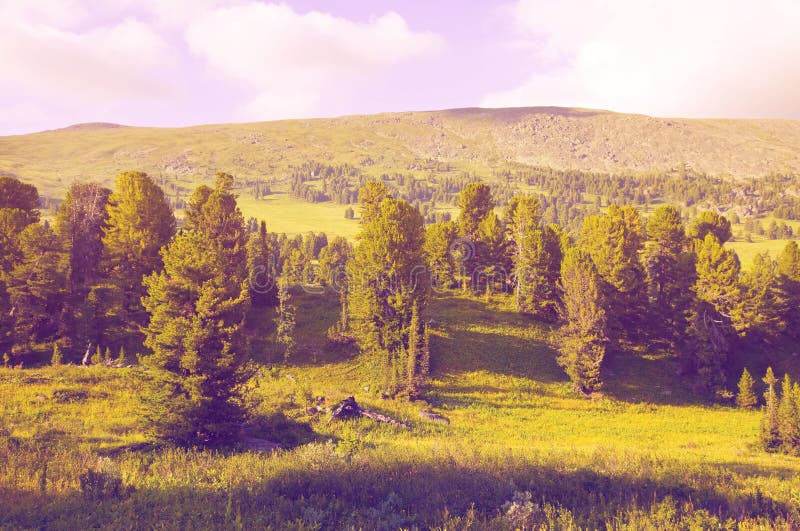 Simple mountains landscape stock photo. Image of meadow - 90960384