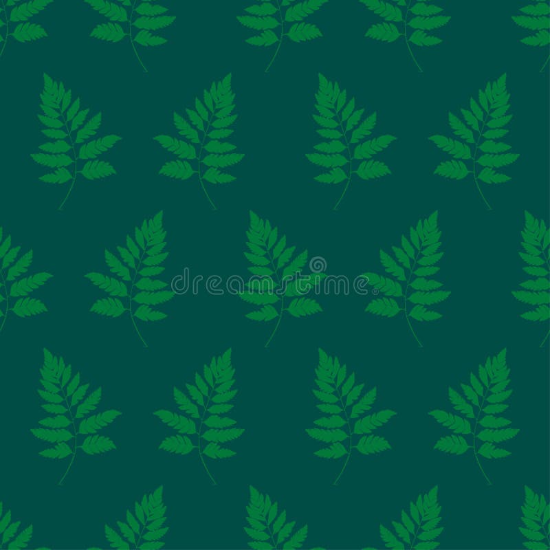 Simple Natural Fern Seamless Pattern. Vector Illustration Stock Vector ...
