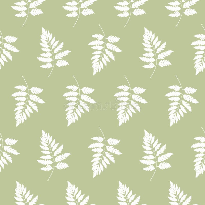 Simple Natural Fern Seamless Pattern. Vector Illustration Stock ...