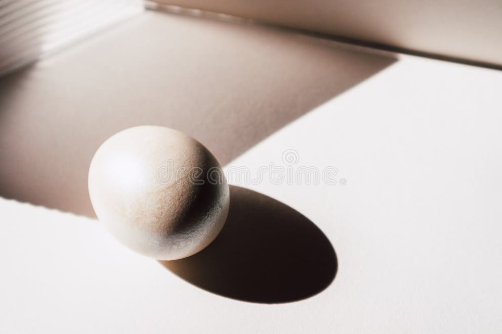 A Simple, Natural Image Showcases a White Egg with a Distinct Shadow ...