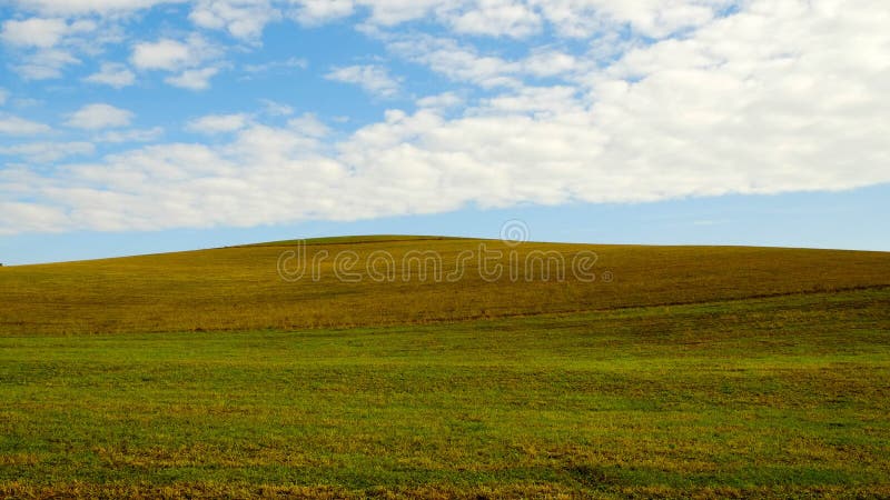 Simple nature stock photo. Image of simple, colours, nature - 84859010